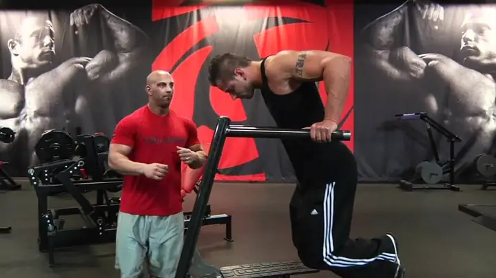 Jeff Seid: Tiểu Sử, Sự Nghiệp và Chế Độ Tập Luyện, Dinh Dưỡng - Mũi Né ...