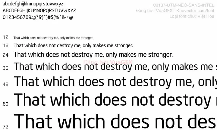 Hướng dẫn tải Font UTM Neo Sans Intel Full Crack Mũi Né SummerLand
